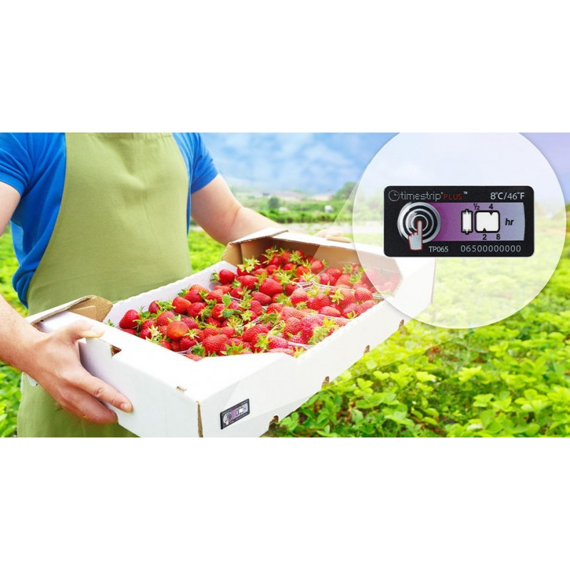 Temperature indicator TimeStrip Plus in different variants