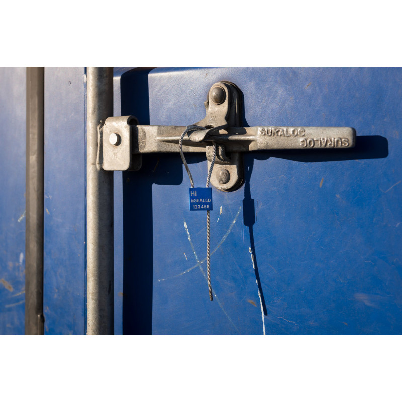 Cable seal Cable Lock Ø 2.5 mm, customized